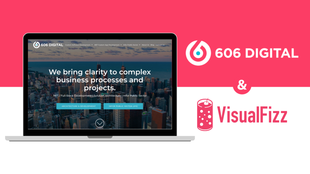 Website Development for B2B Software Brand | VisualFizz